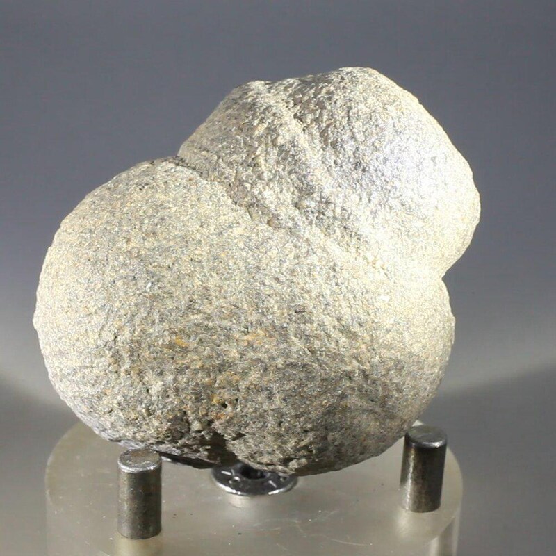 Coprolite - Etsy