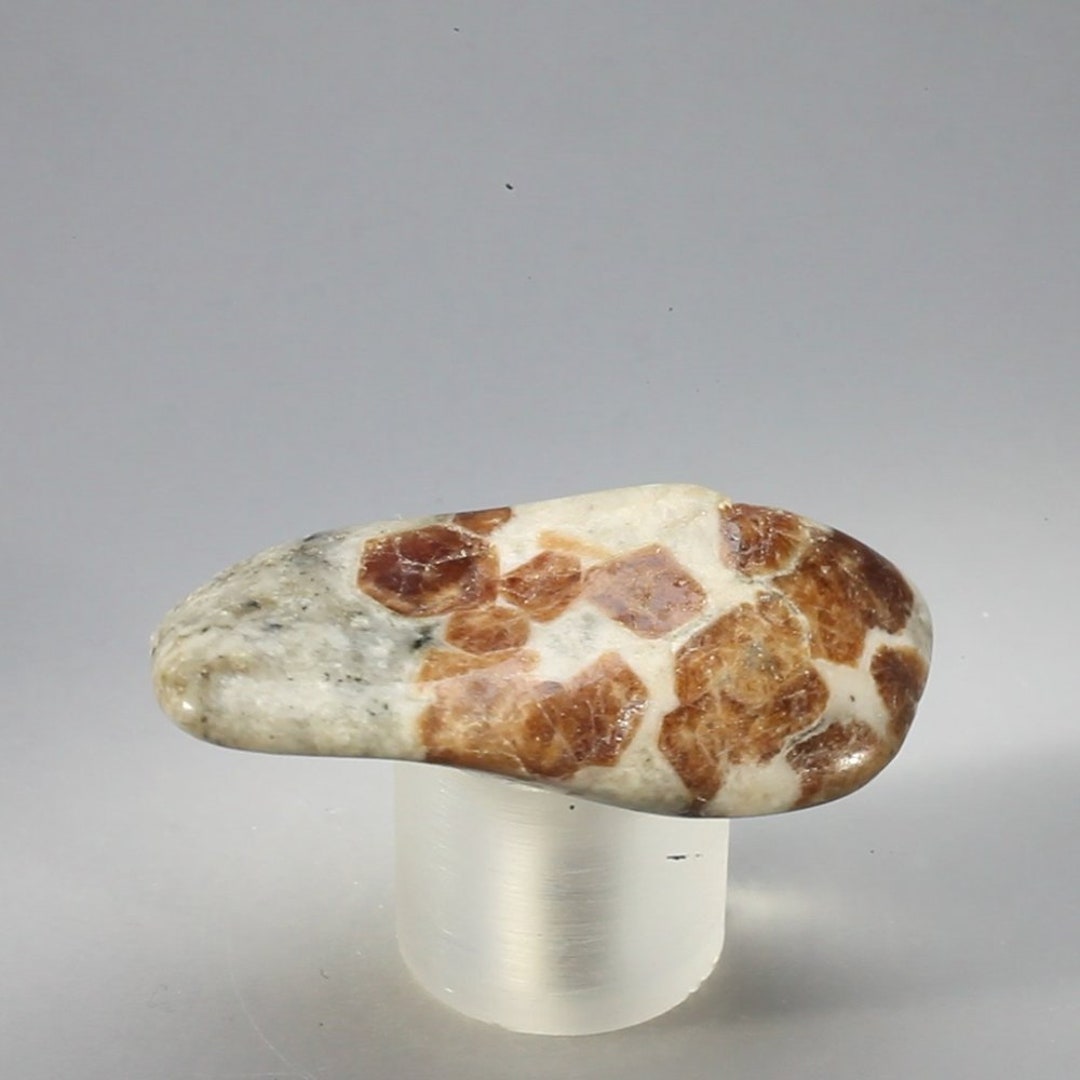 Garnet in Limestone Tumblestone ~43mm | TV424 - Etsy