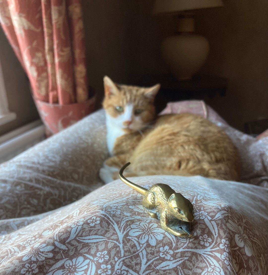 Vintage Brass Mouse, With a Long Tail - Etsy