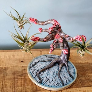 Clay Tree With Real Air Plants and Epoxy Finish/ Handmade Tabletop ...