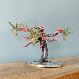 Clay Tree With Real Air Plants and Epoxy Finish/ Handmade Tabletop ...