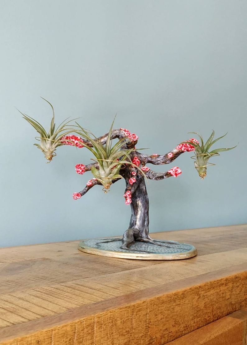Clay Tree With Real Air Plants and Epoxy Finish/ Handmade Tabletop ...