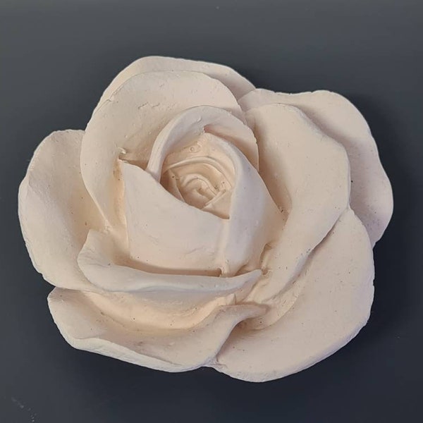 Flower Plaster Art - Etsy