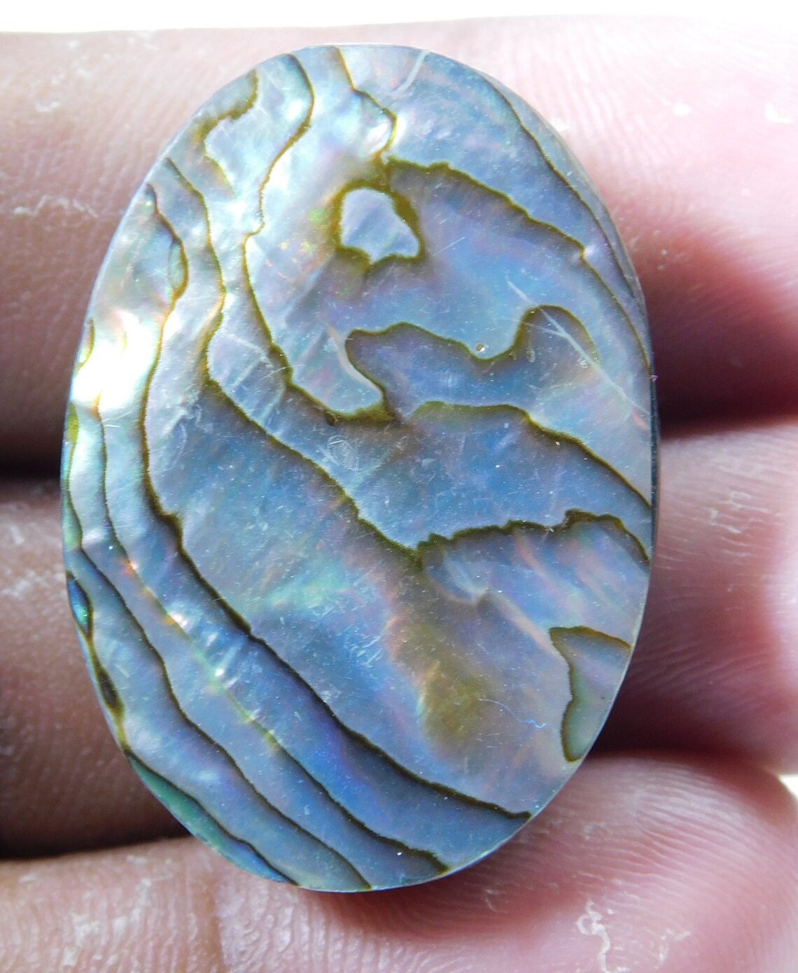 Abalone Shell Top Quality Abalone Shell Loose Stone Abalone | Etsy