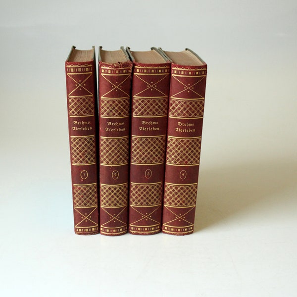 Antique German Books - Etsy