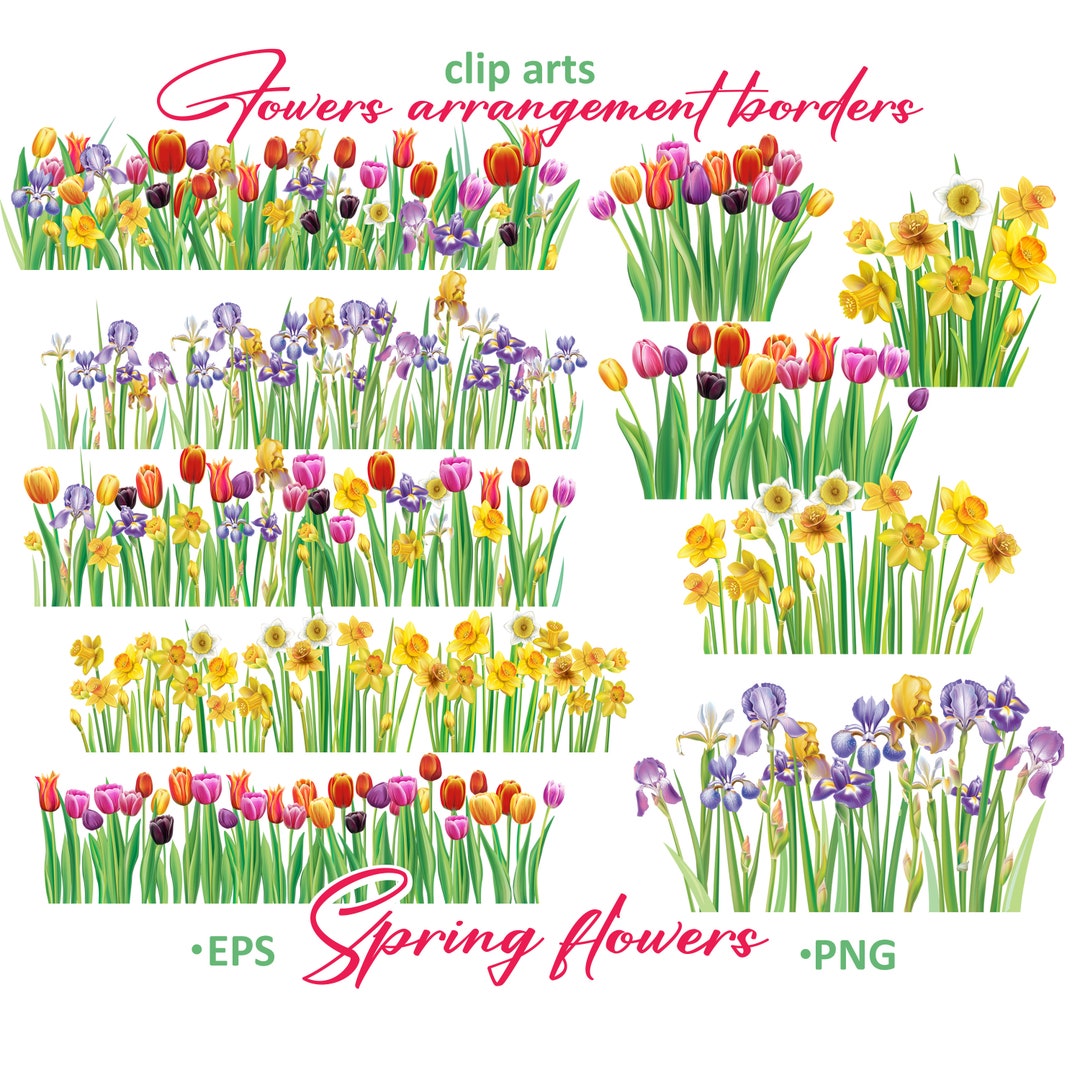 Spring Flowers PNG, Flower EPS, Flower Border, Floral Clipart, - Etsy