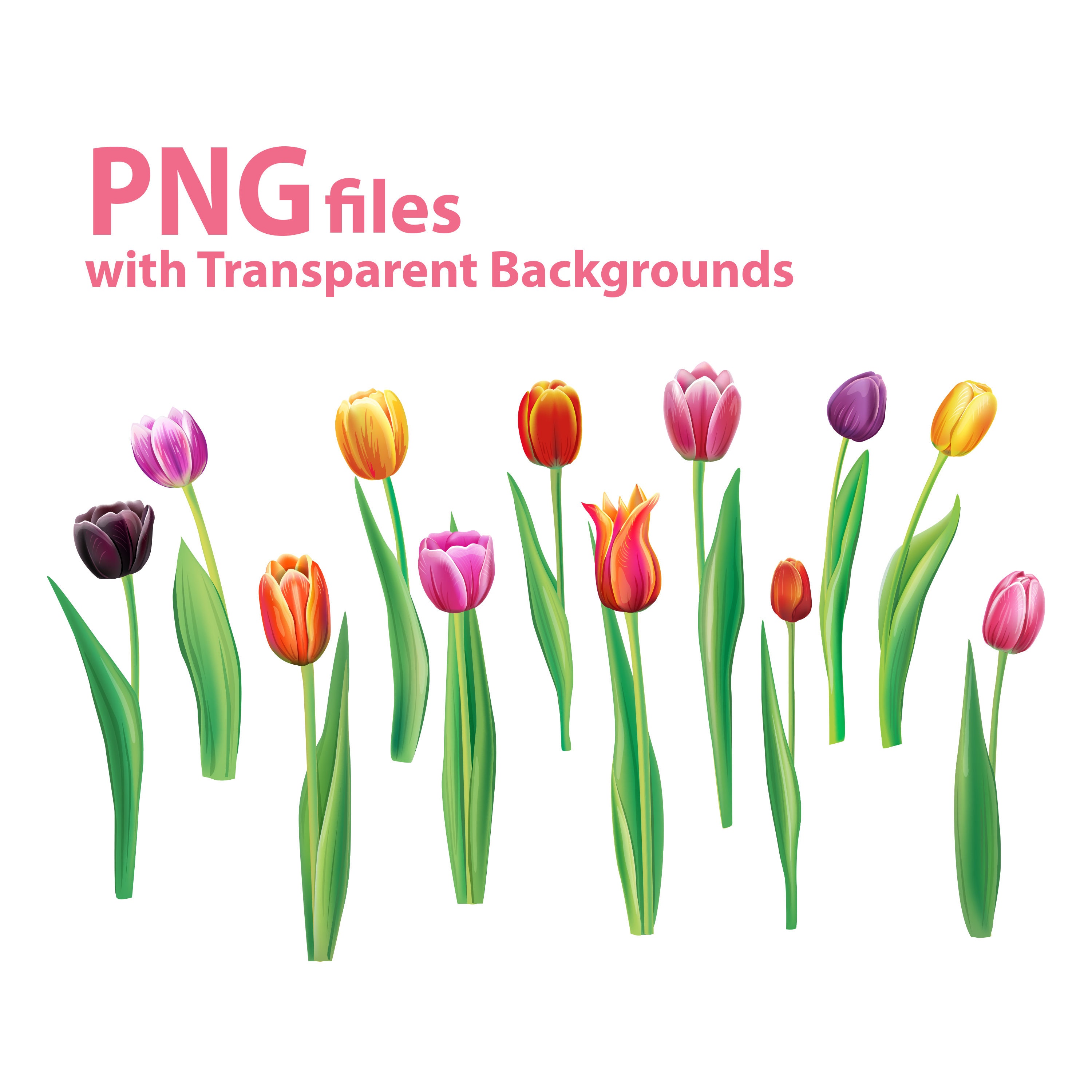 Tulips Floral Clipart, Spring Tulip Flower PNG, Floral Clip Art, EPS - Etsy