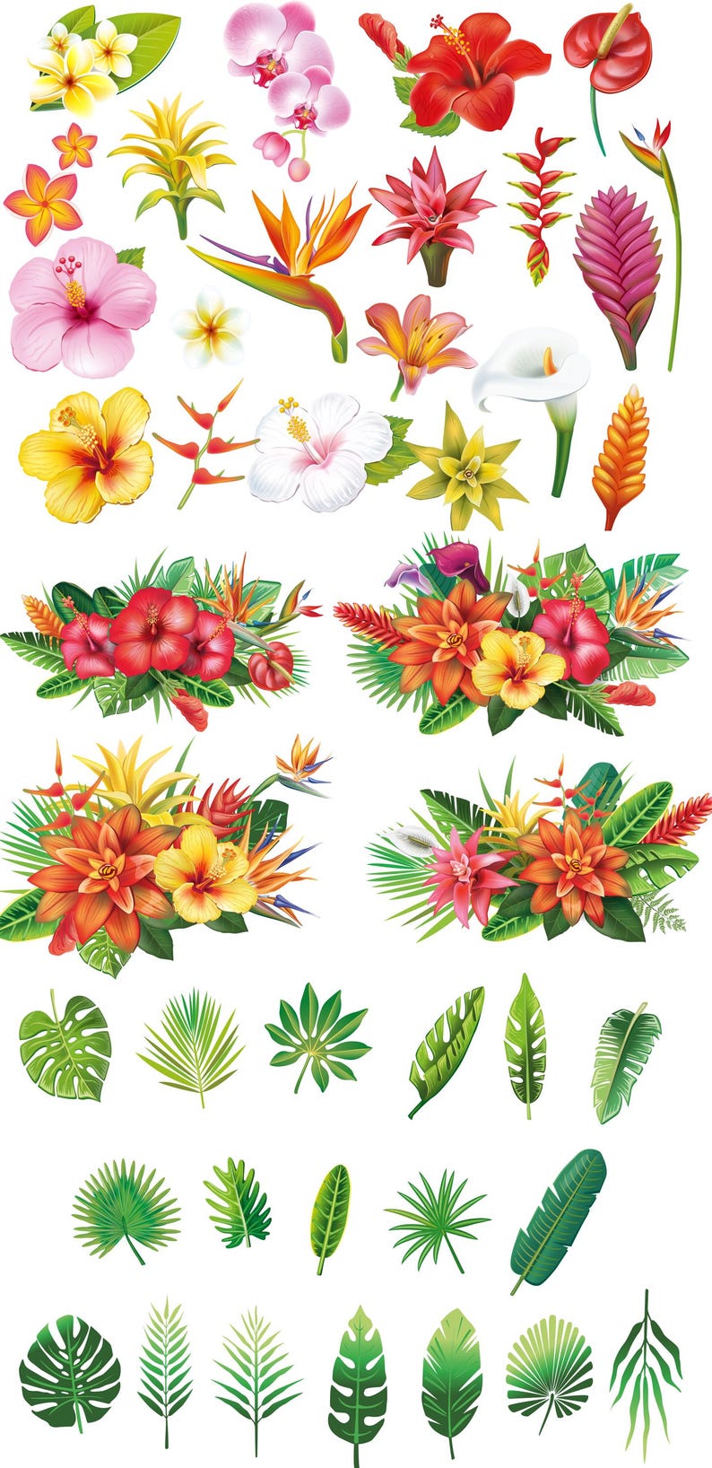 Tropical Flowers Arrangement Clipart - Exotic Floral Elements for ...
