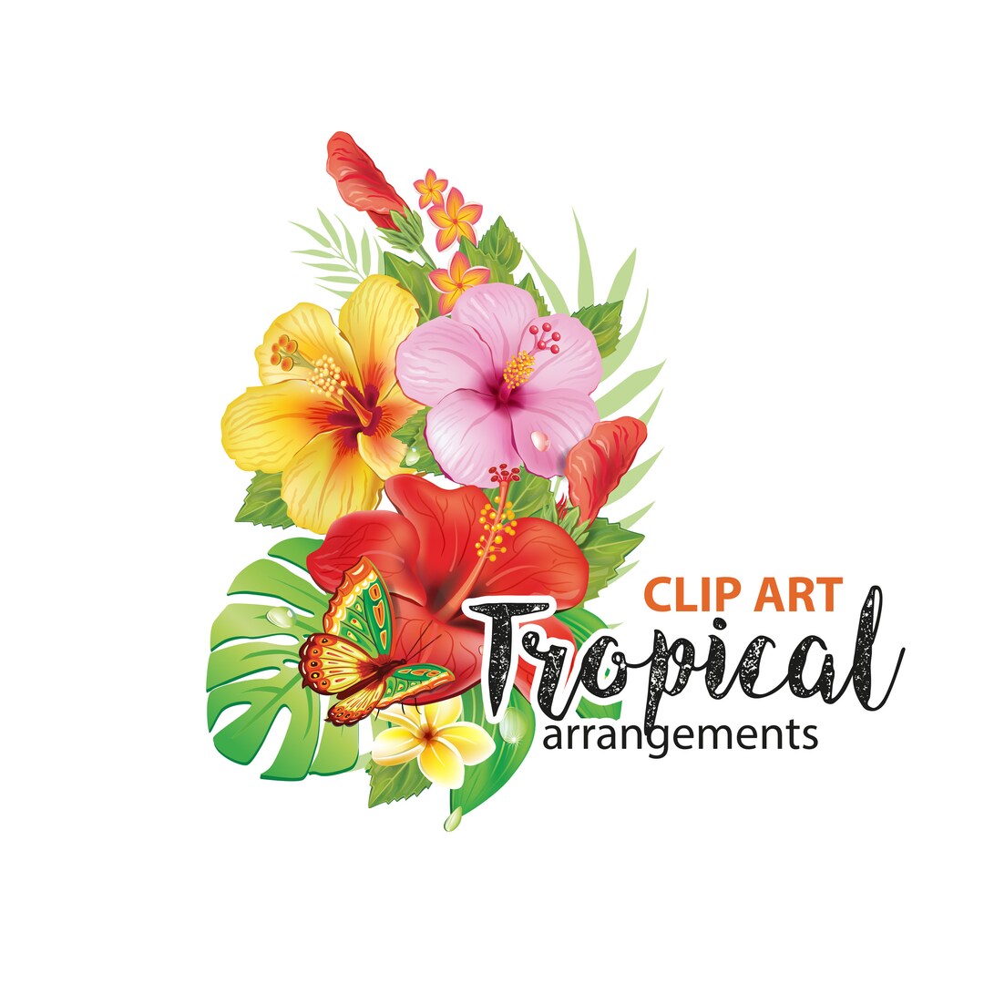 Tropical Plants and Flowers, Flowers Arrangement, Tropical Clip Art ...