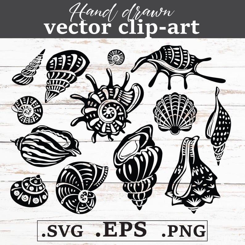 Shell Clipart Bundle SVG PNG EPS | Seashell Silhouettes | Beach Theme ...
