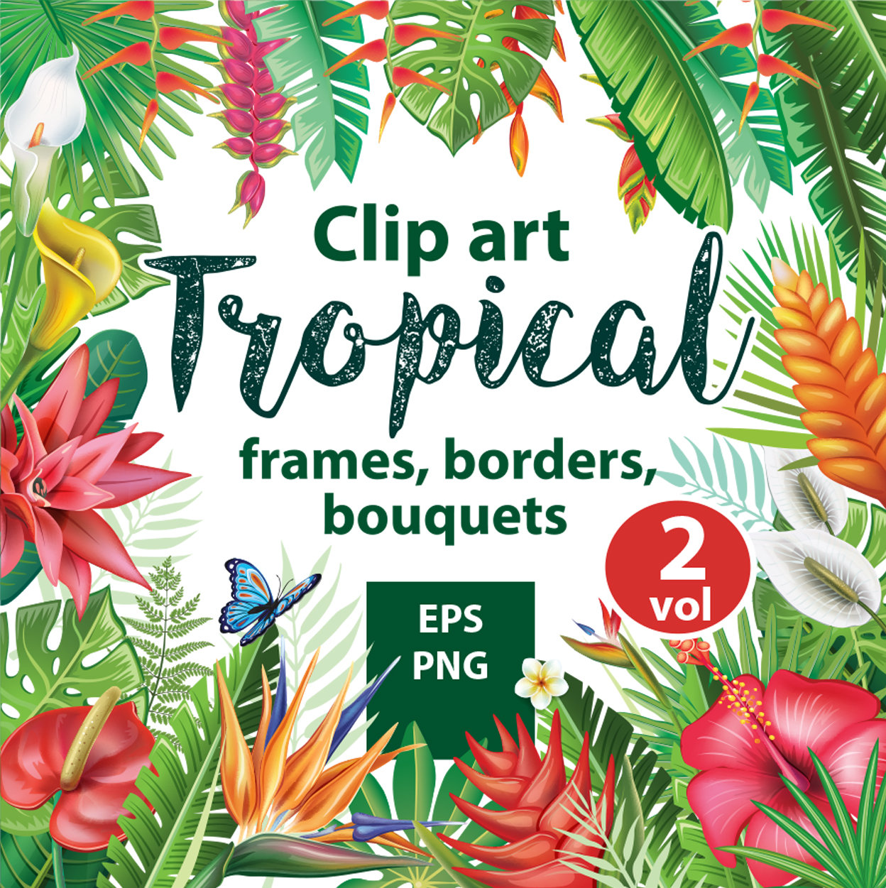 Tropical Frame Borders |tropical Plants and Flowers, Flowers ...
