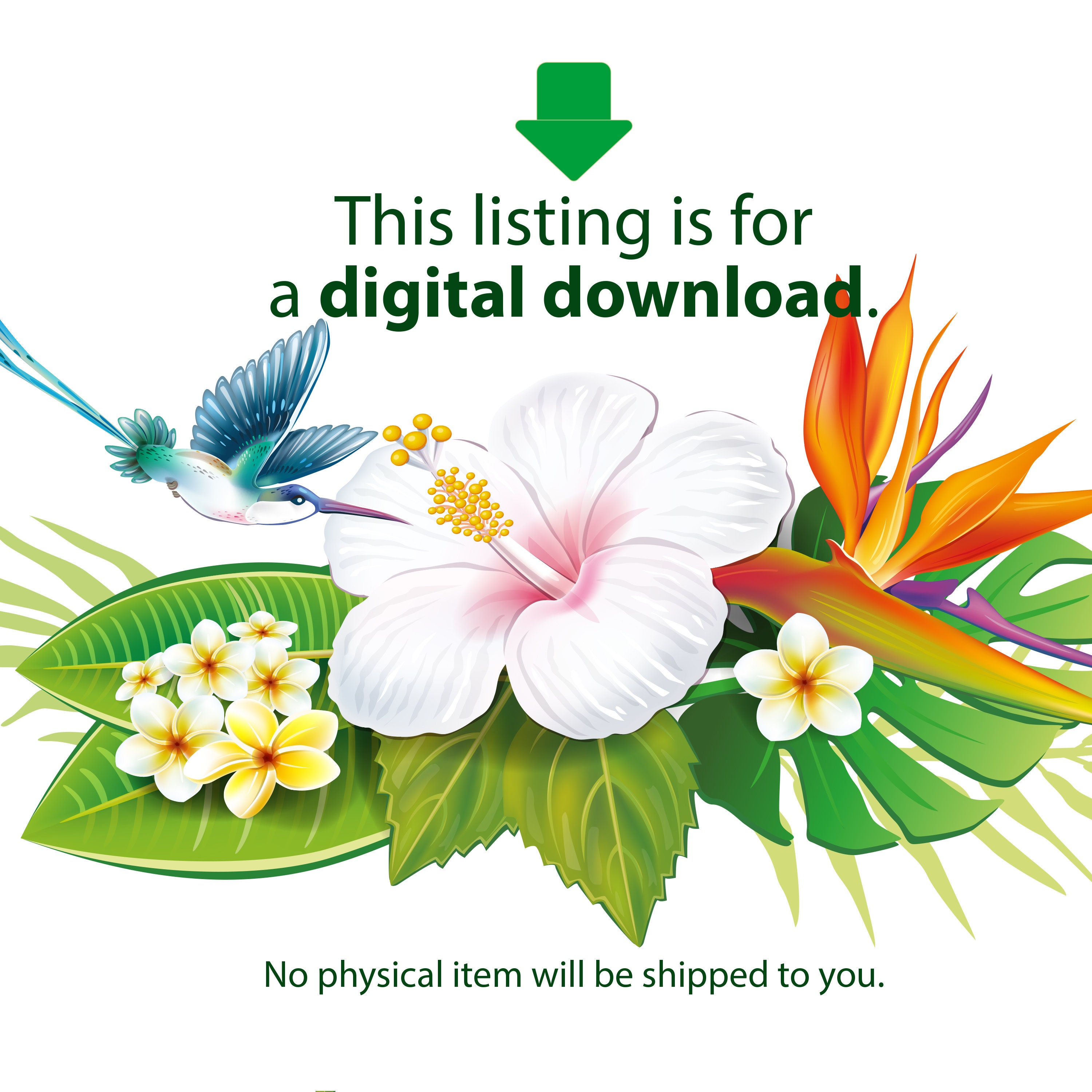 Tropical Plants and Flowers, Flowers Arrangement, Tropical Clip Art ...