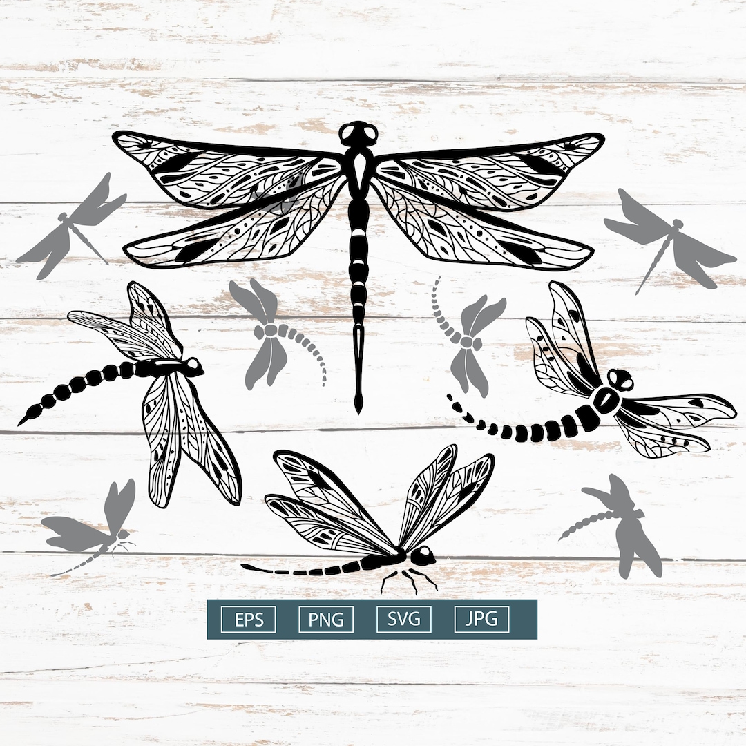 Dragonfly Silhouette, Dragonfly SVG, PNG, EPS, Digital Download ...