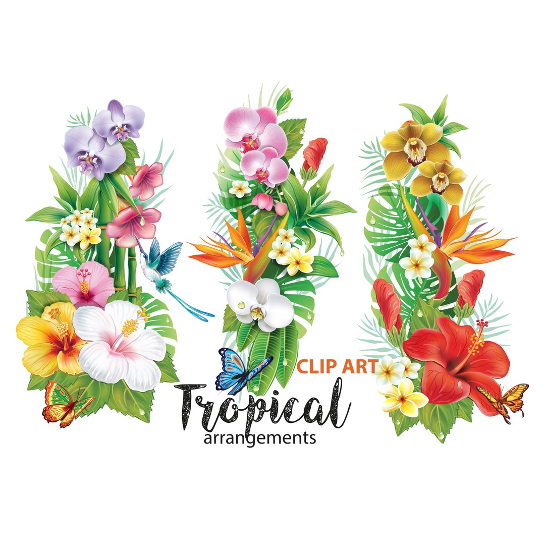 Tropical Plants and Flowers, Flowers Arrangement, Tropical Clip Art ...