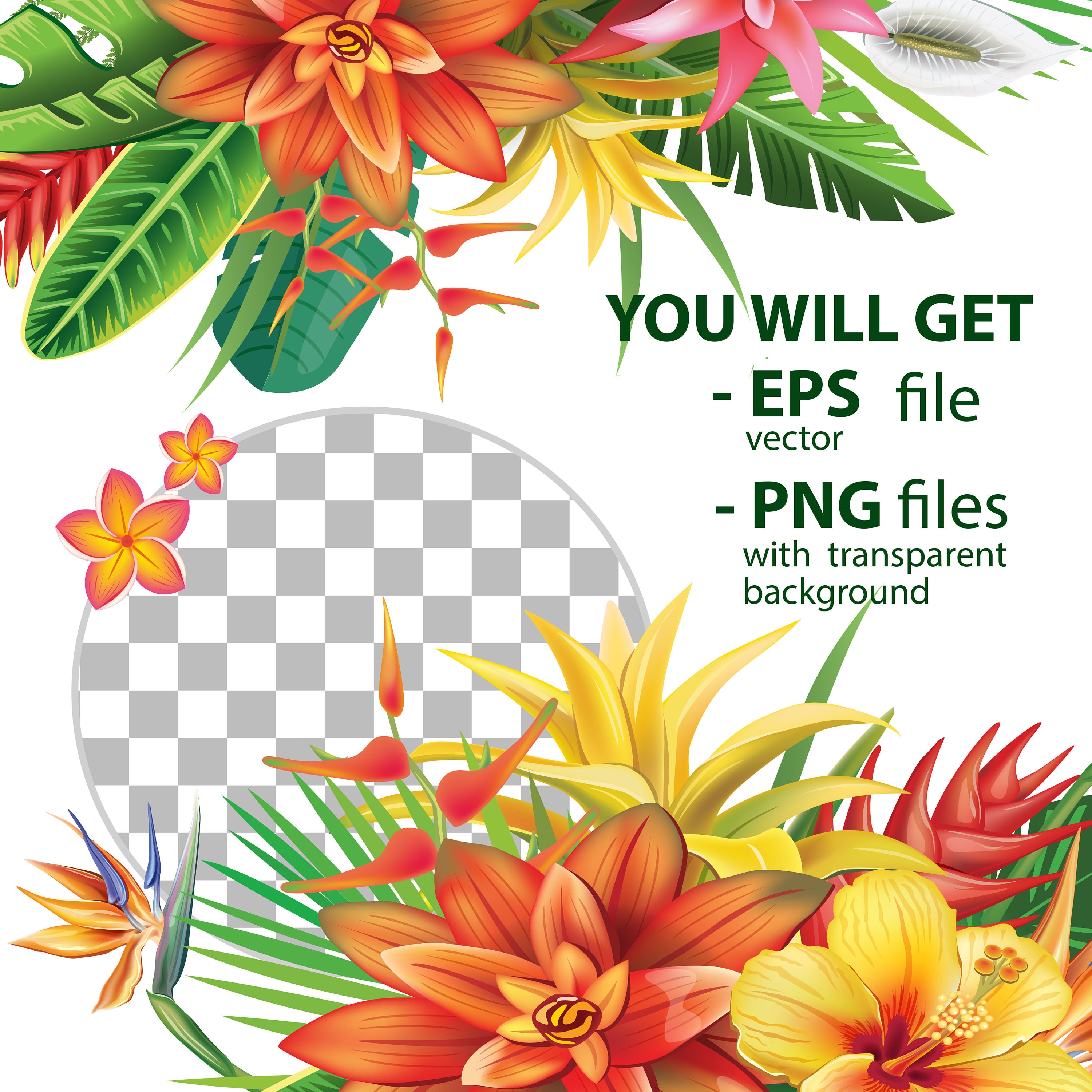 Tropical Flowers Arrangement Clip Art Digital Floral - Etsy Australia