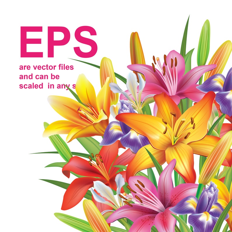 Bouquets With Lilies and Irises, Flowers PNG, Flowers EPS, Floral Clip ...