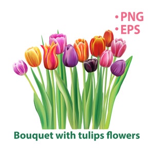 Tulips Floral Clipart Spring Tulip Flower PNG Floral Clip - Etsy