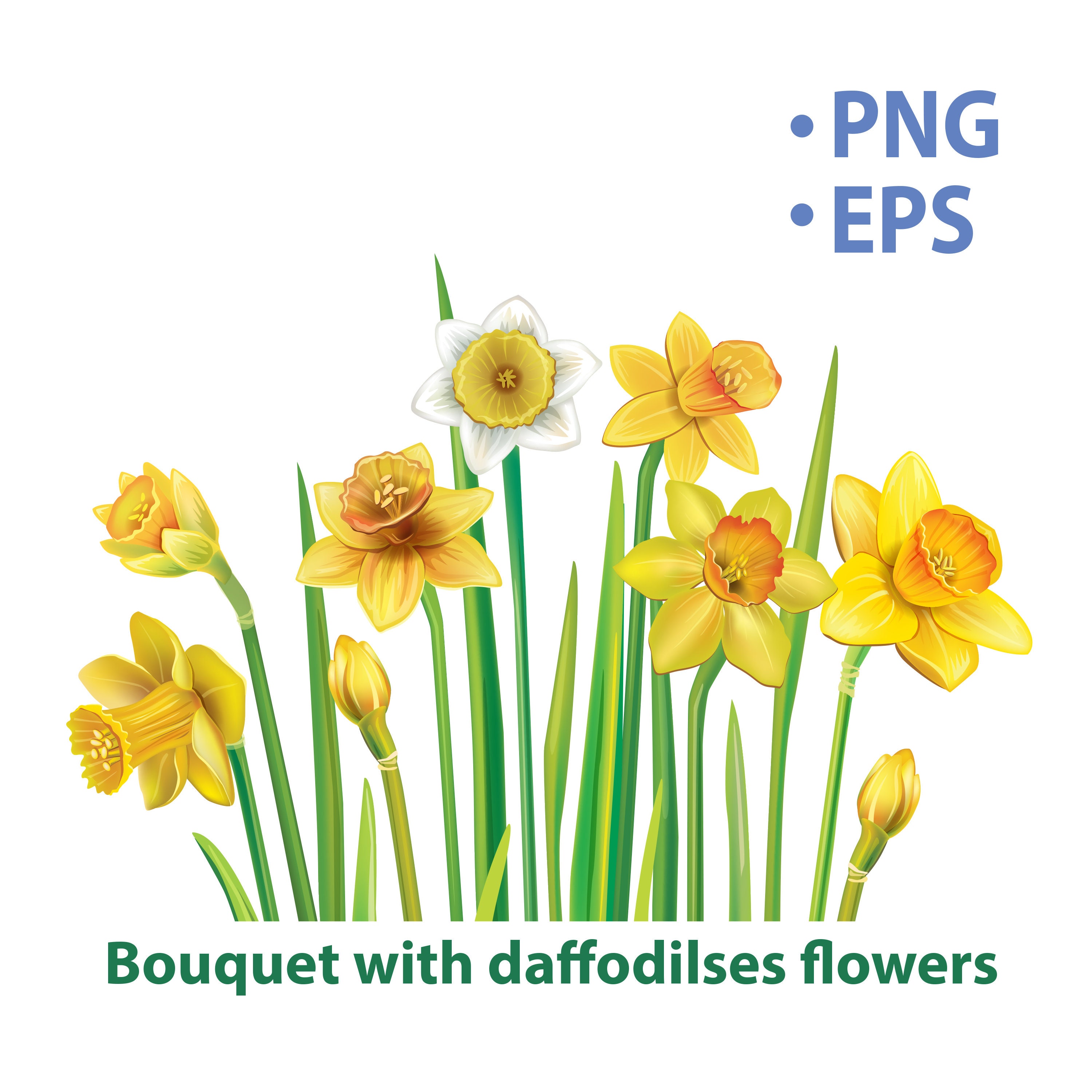 Daffodilses Floral Clipart, Spring Daffodilses Flower PNG, Floral Clip ...