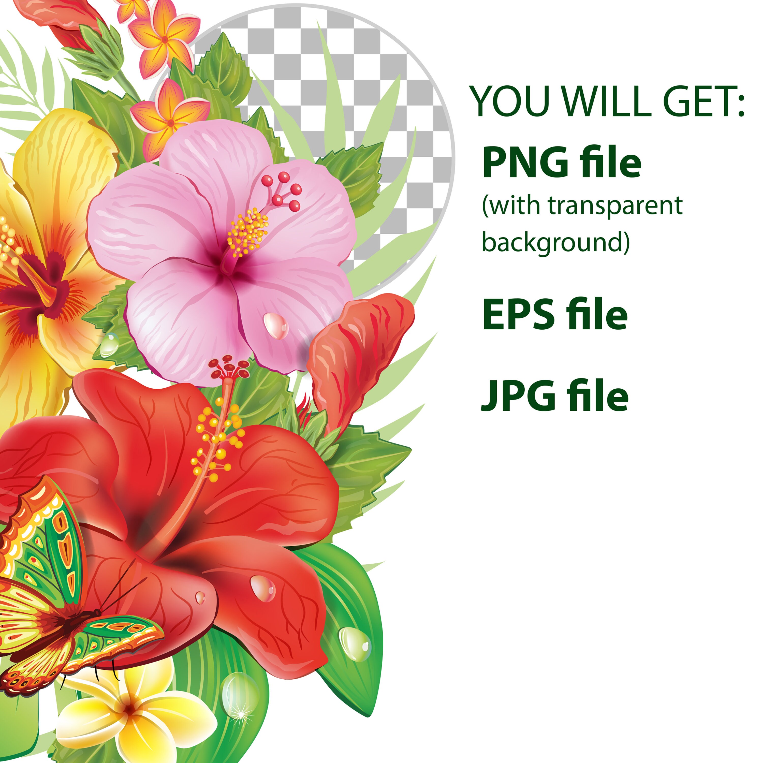 Tropical Plants and Flowers, Flowers Arrangement, Tropical Clip Art ...