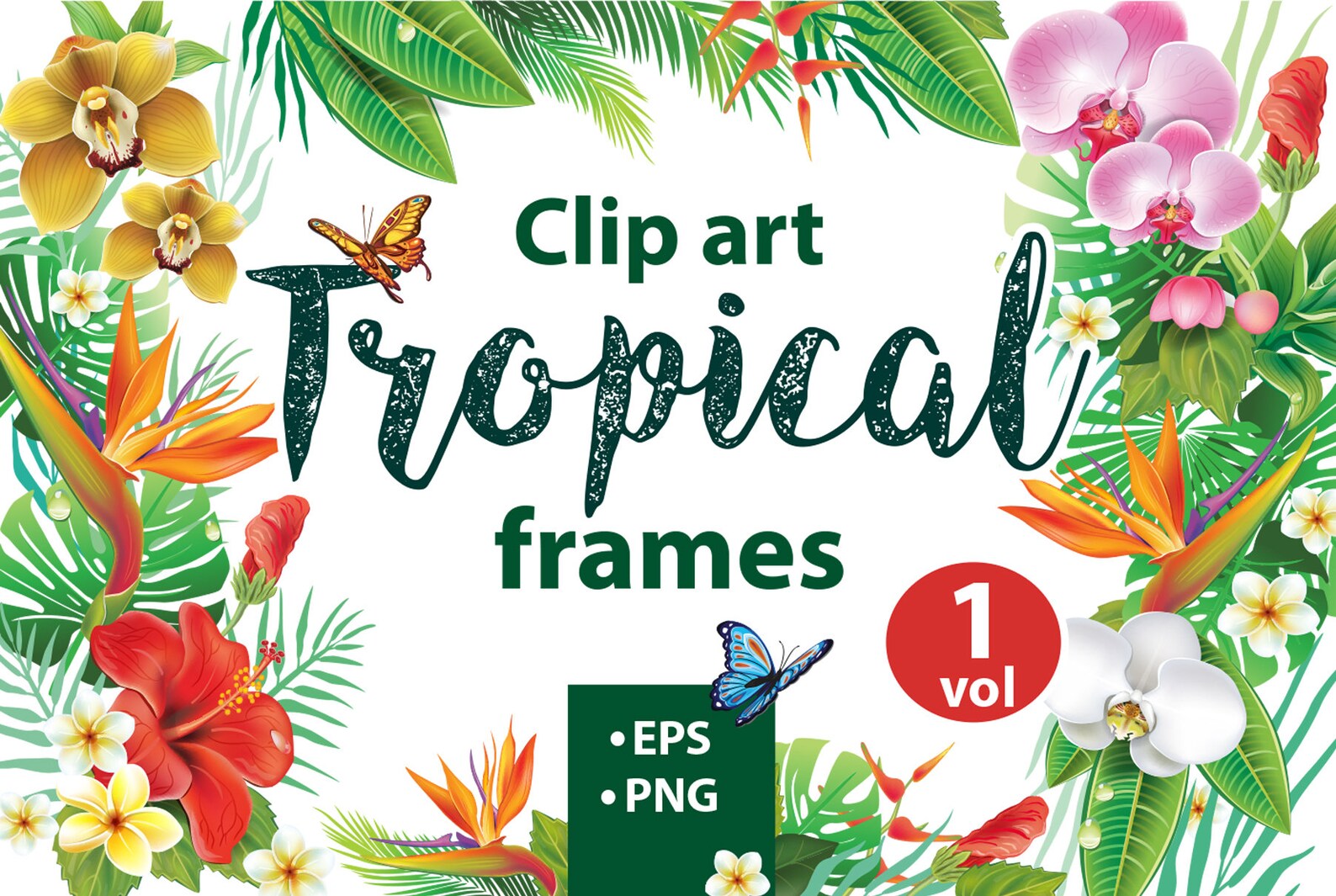Tropical Frame Clip Art, Tropical Plants and Flowers, Flowers ...