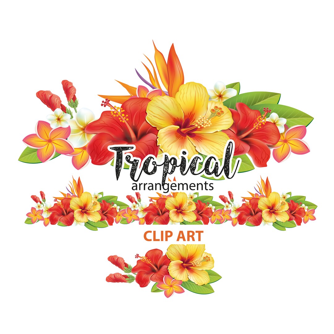 Tropical Plants and Flowers, Flowers Arrangement, Tropical Clip Art ...