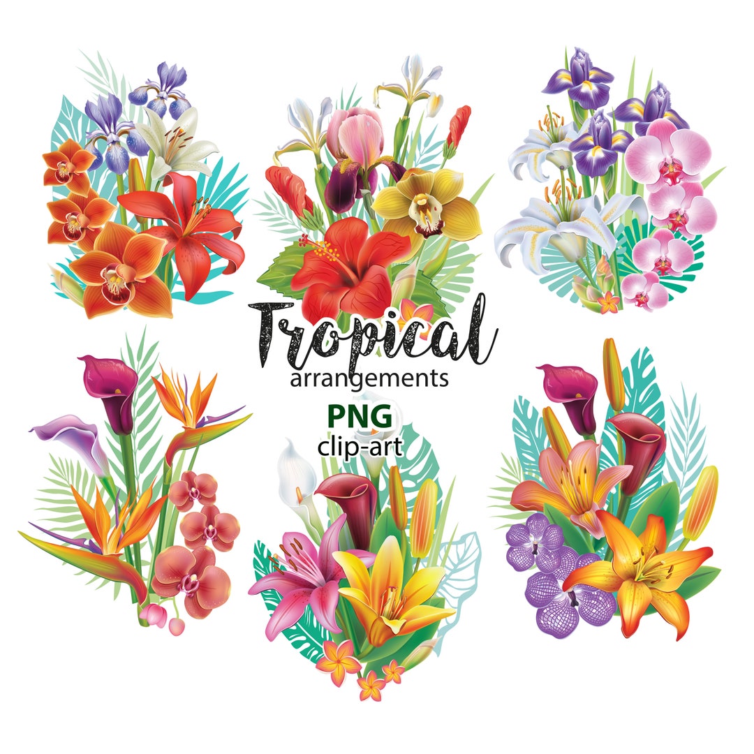 Tropical Plants and Flowers, Flowers Arrangement, Tropical Clip Art ...