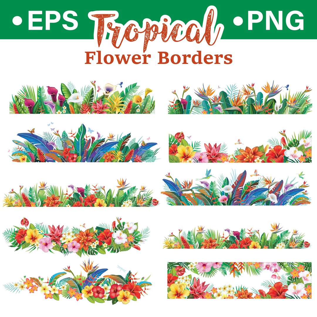 Tropical Flowers Border – Exotic Floral Frame EPS and PNG for ...
