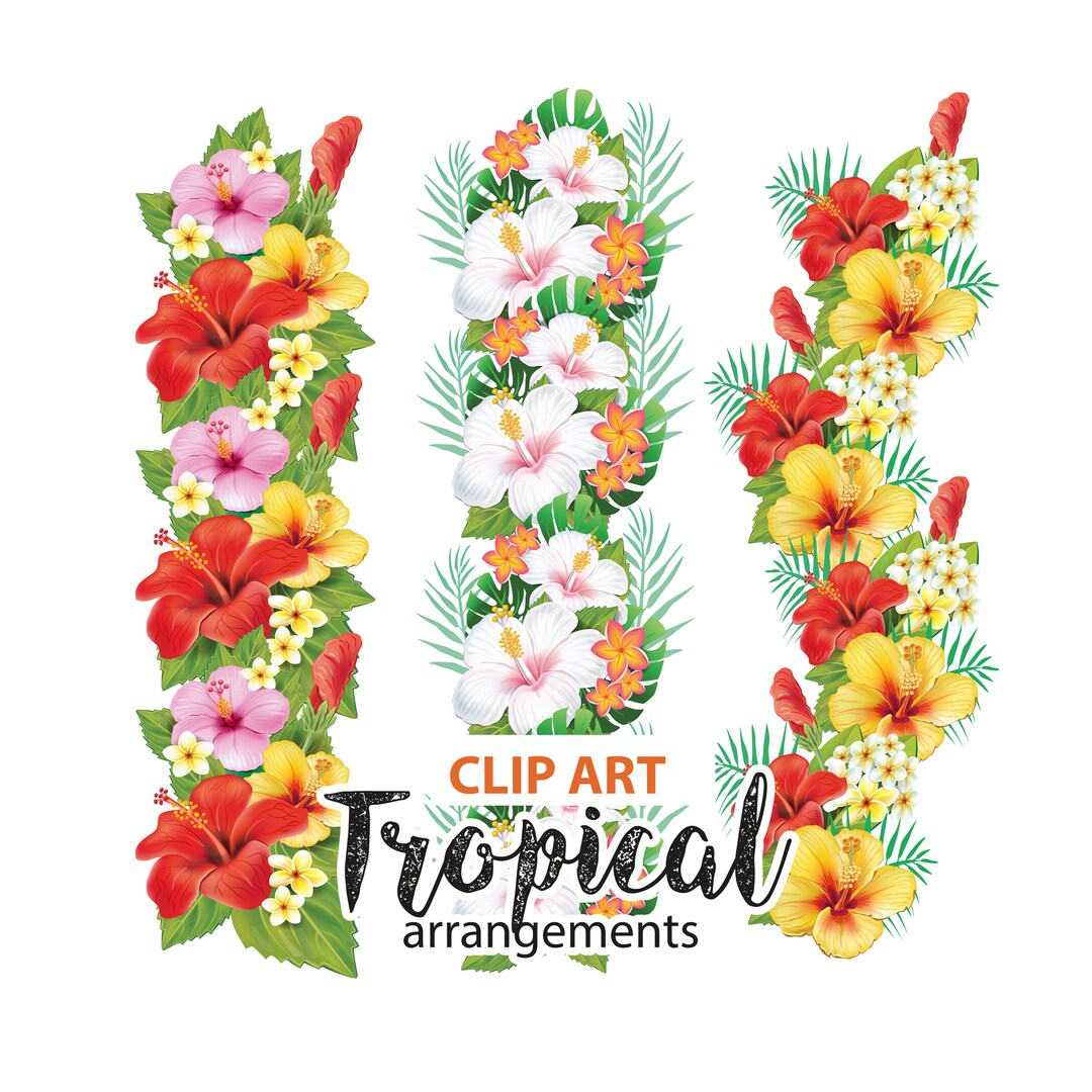 Tropical Plants and Flowers, Flowers Arrangement, Tropical Clip Art ...