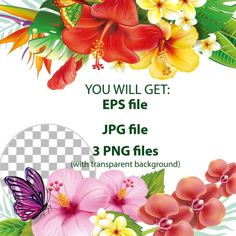 Tropical Plants and Flowers, Flowers Arrangement, Tropical Clip Art ...