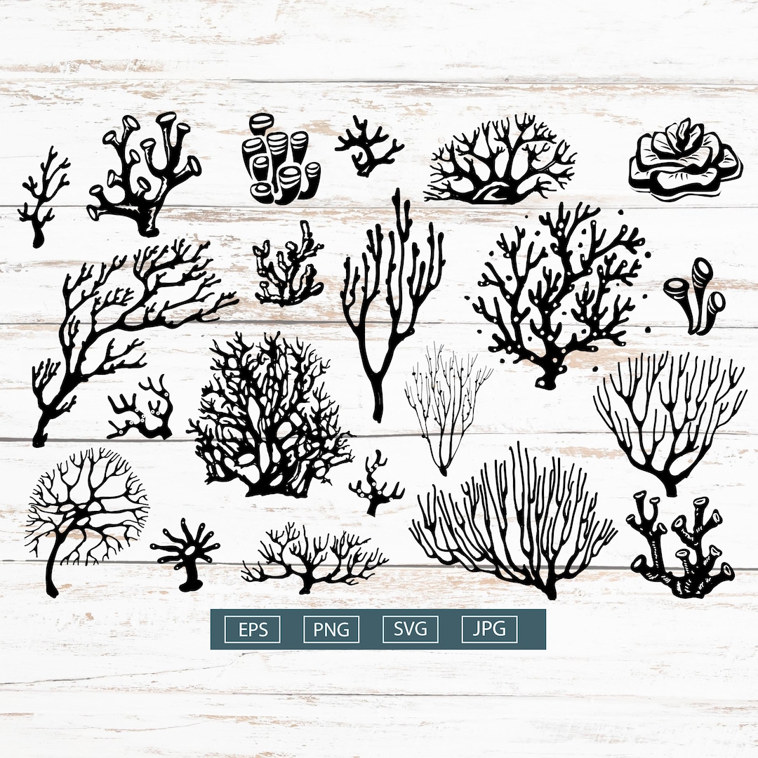 Corals Silhouette Clipart Set, Сoral Stencil, SVG, PNG, EPS, Corals ...