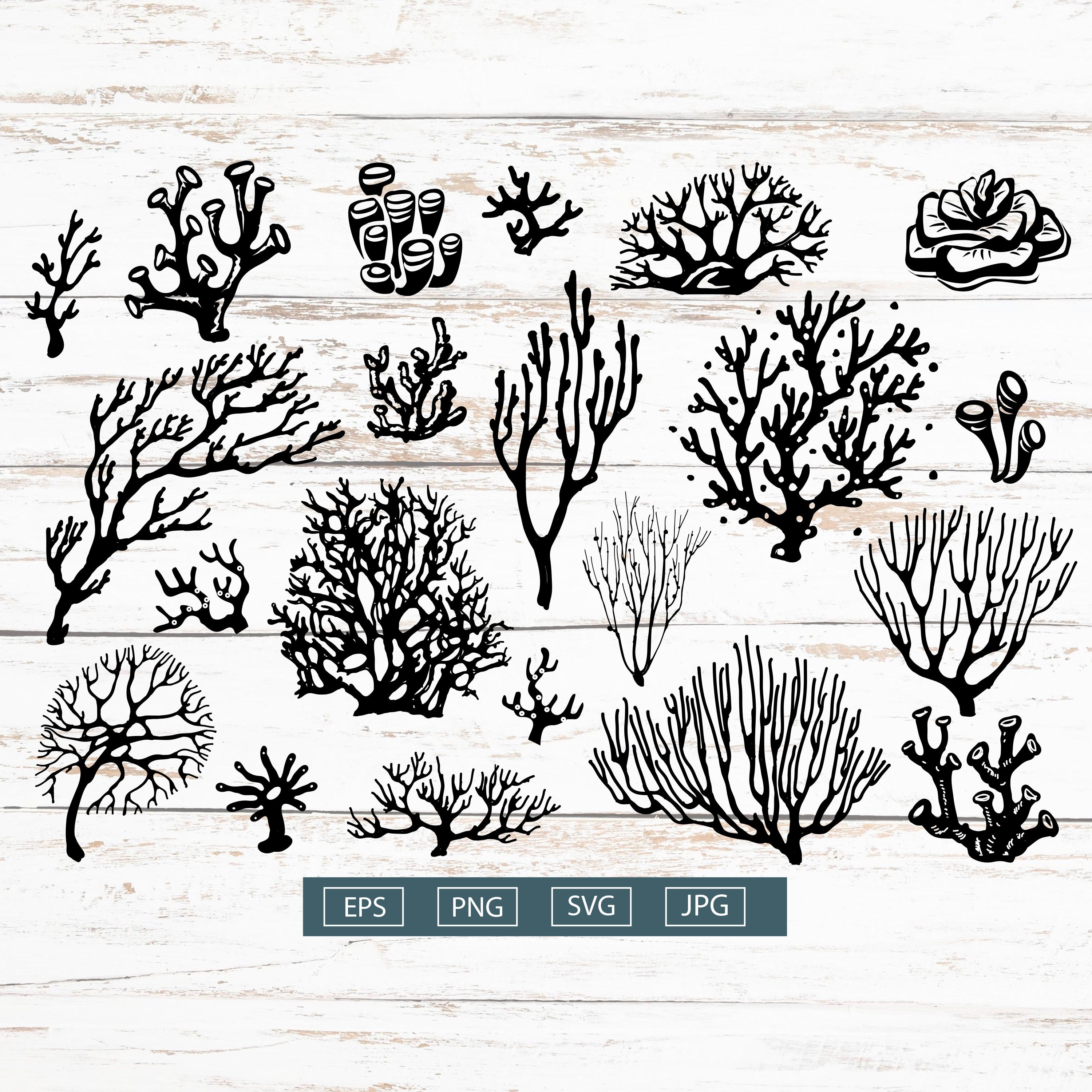 Corals Silhouette Clipart Set Сoral Stencil SVG PNG EPS - Etsy