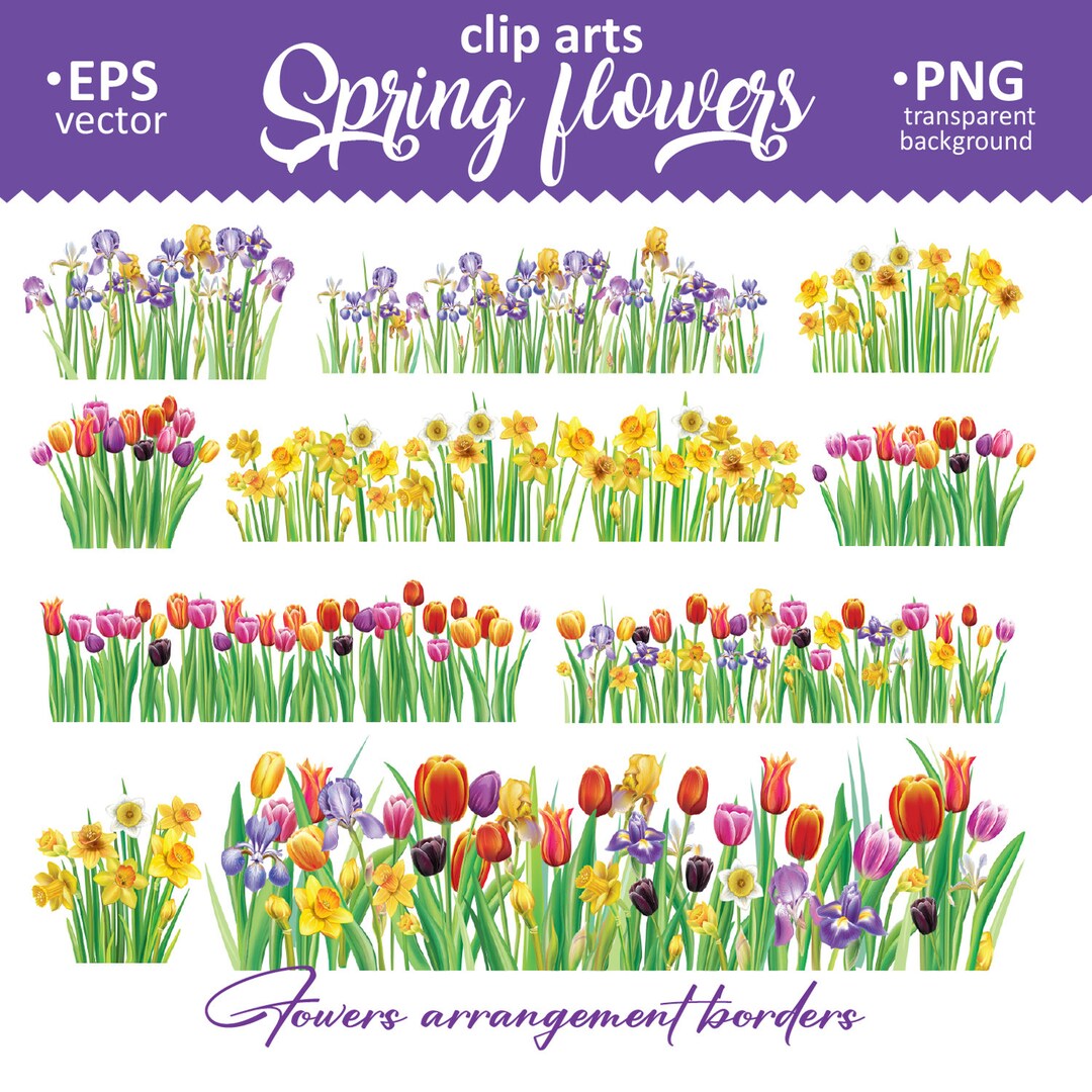 Spring Flowers PNG, Flower EPS, Flower Border, Floral Clipart, - Etsy