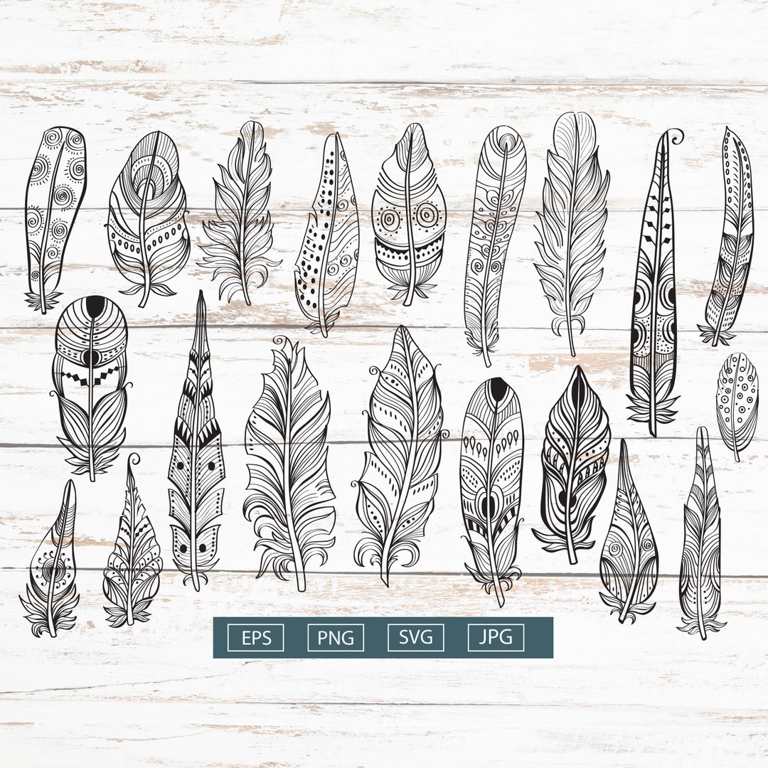 Light Delicate Feathers Clip Art Bundle SVG, PNG, EPS, Cricut, Feather ...