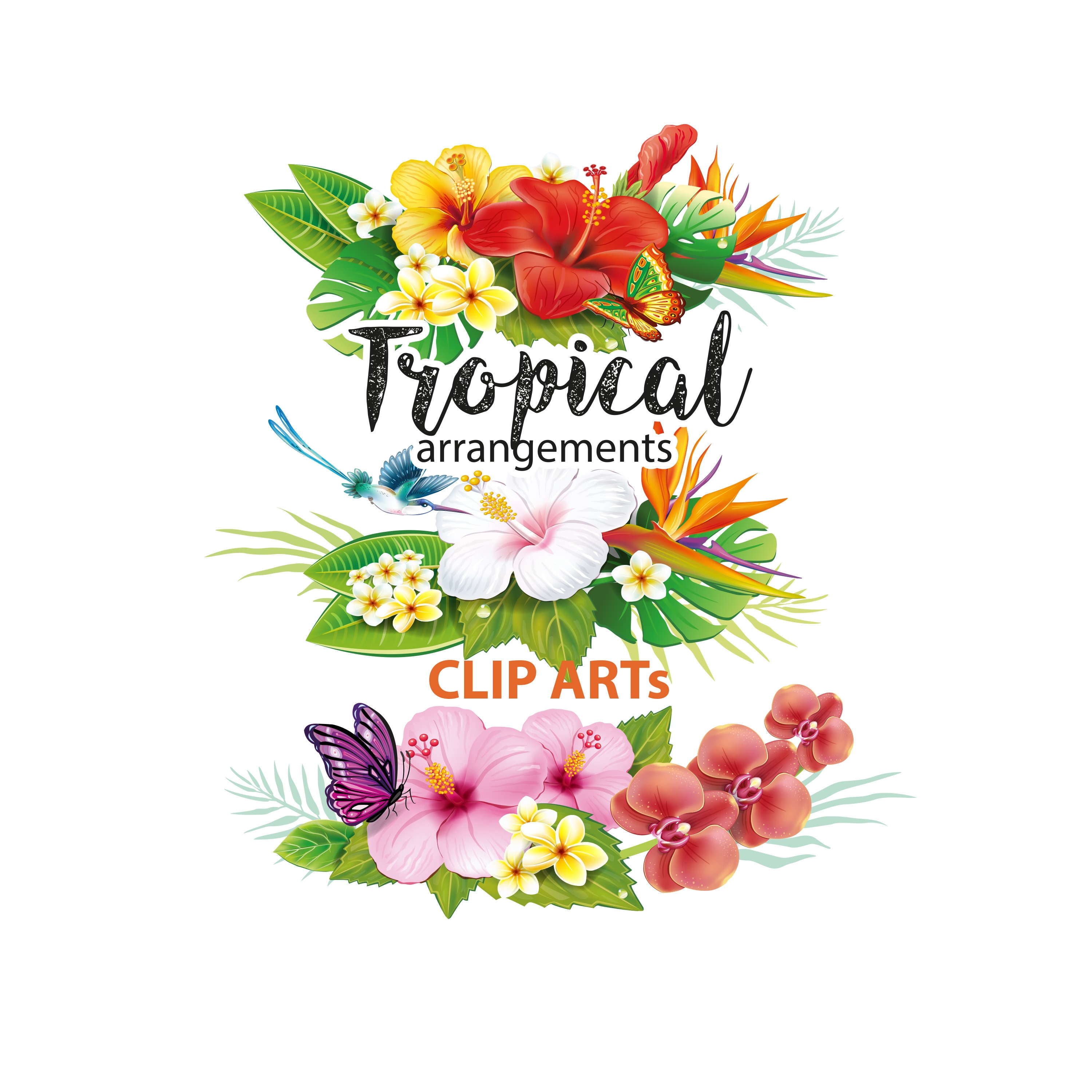 Tropical Plants and Flowers, Flowers Arrangement, Tropical Clip Art ...
