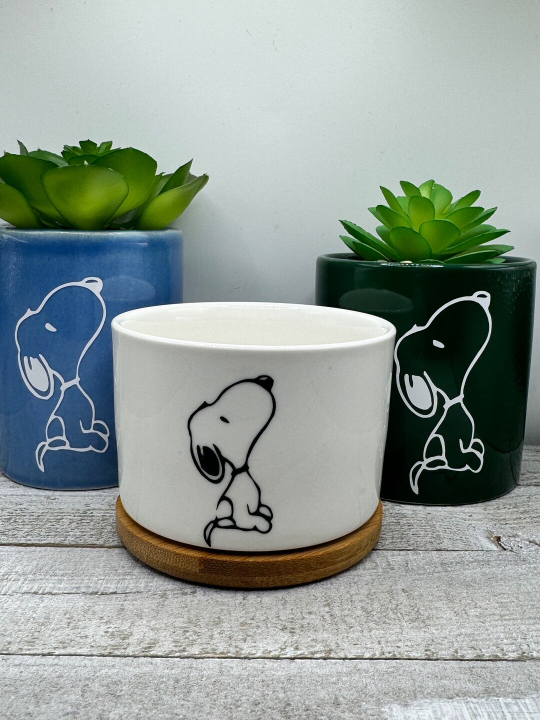 Snoop Inspired / Ceramic Succulent Flower Planter Pots - 3 OPTIONS - 3. ...