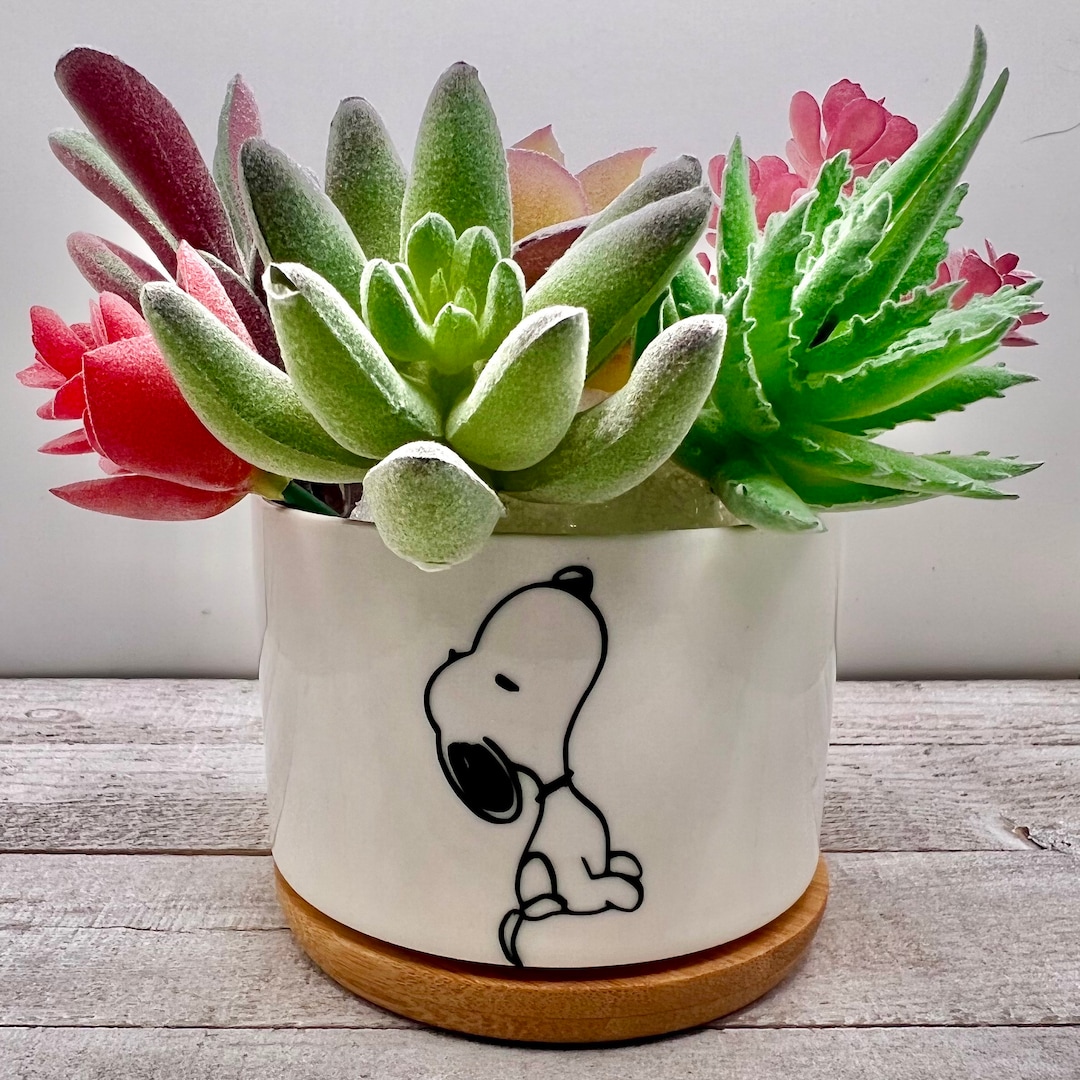 Snoop Inspired / Ceramic Succulent Flower Planter Pots - 3 OPTIONS - 3. ...