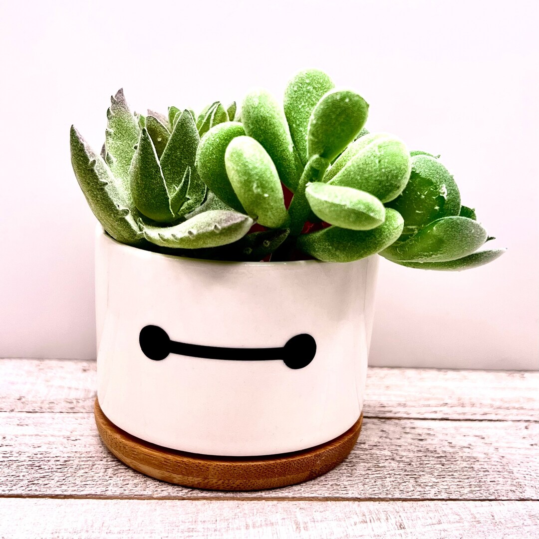 Baymax Big Hero 6 Inspired / 3.15 Inch Ceramic Succulent Flower Planter ...