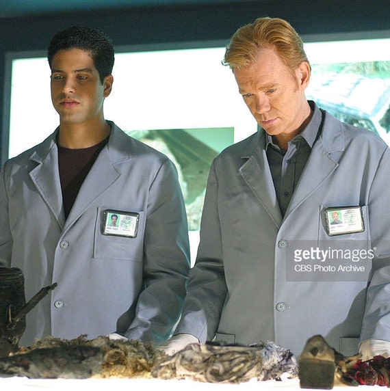 Csi Miami Delko And Calleigh