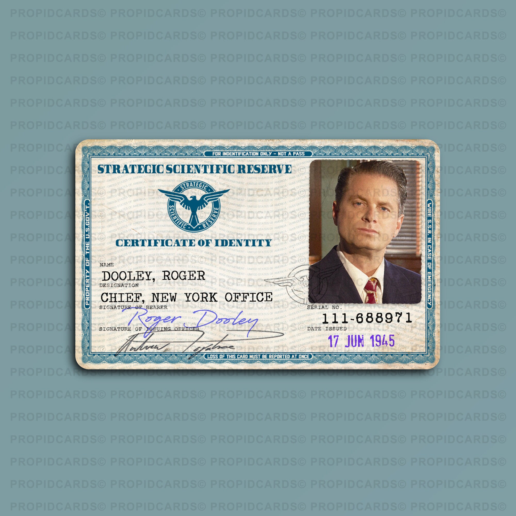 Marvels Agent Carter TV Show SSR ID Badge Peggy Carter - Etsy Sweden