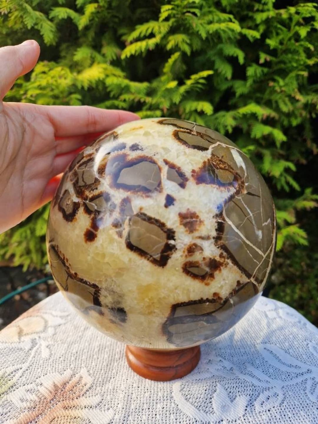 Septarian Sphere Dragon Stone Sphere Septarian Ball - Etsy