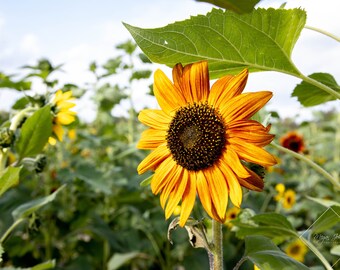 October 2021 Calendar - Etsy