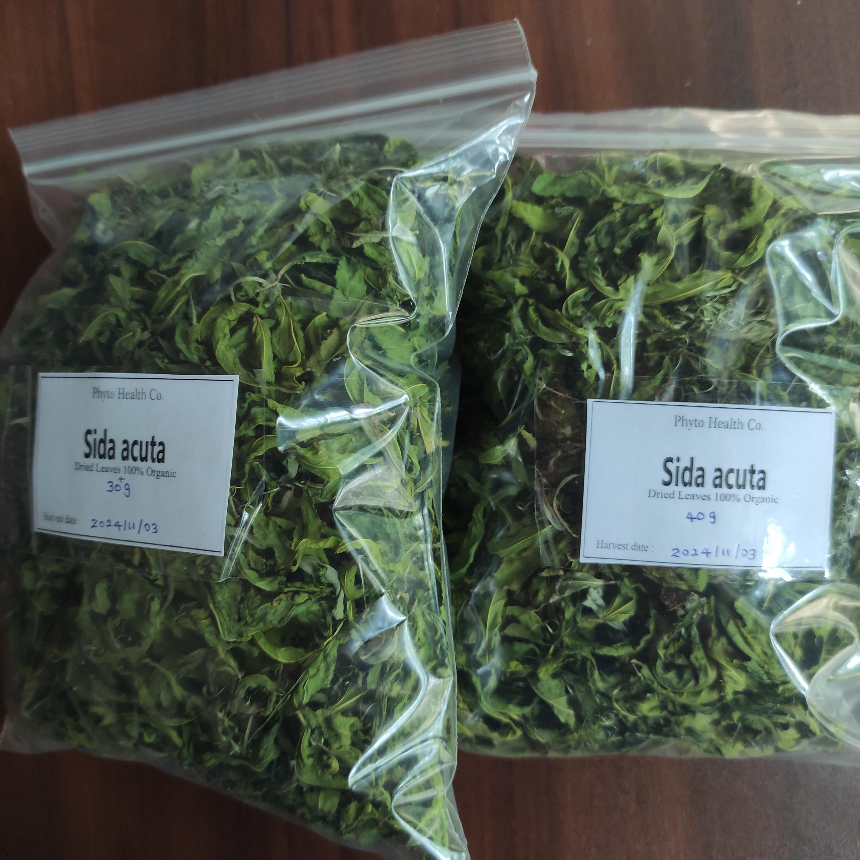 Sida Acuta Dried Leaves Freshly Dried - Etsy