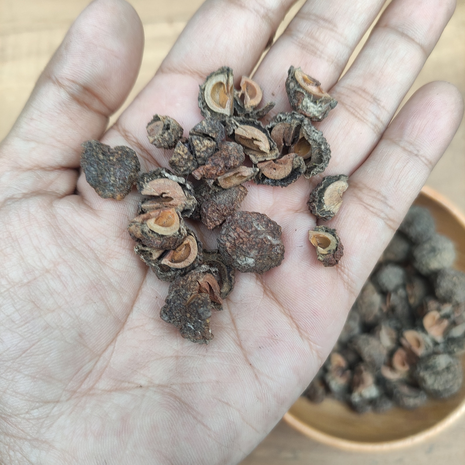 Amla Berry Fruit Dried, Phyllanthus Emblica - Etsy