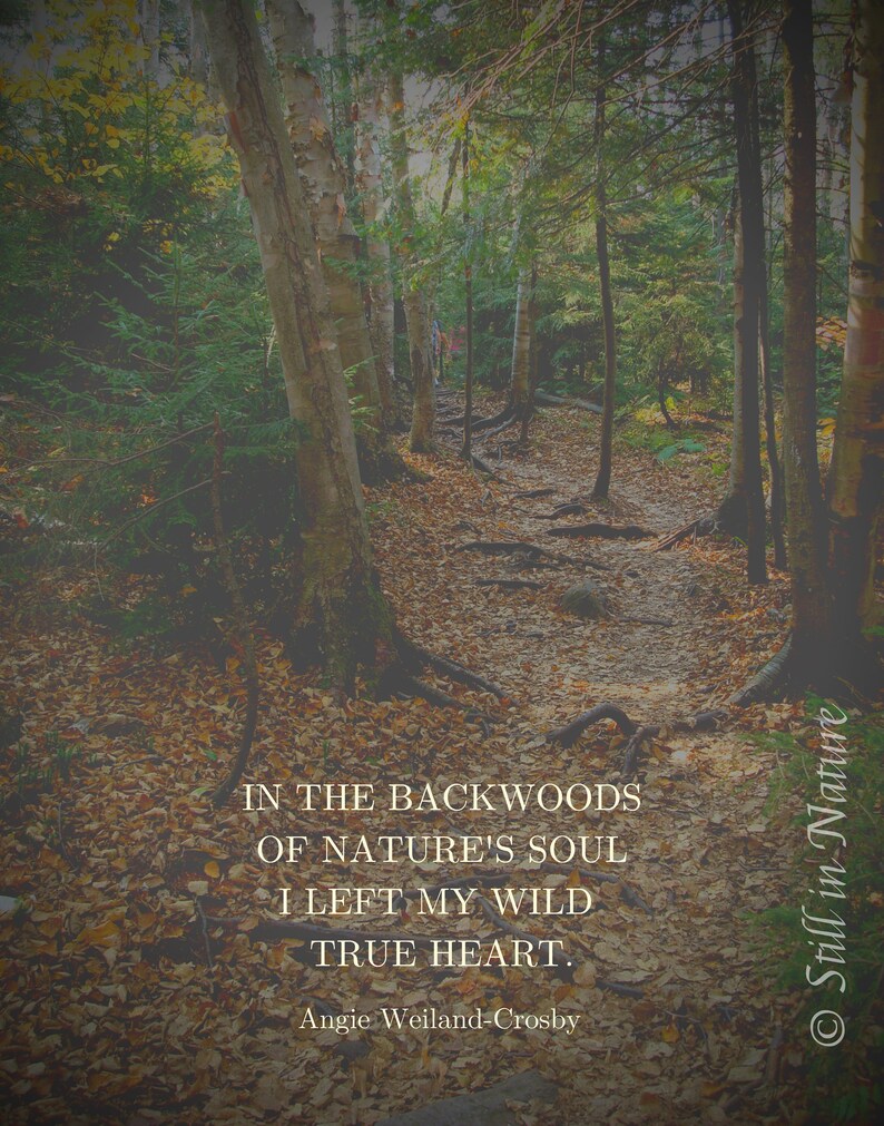 Nature Quote Print Download Angie Weiland Crosby Quote Etsy