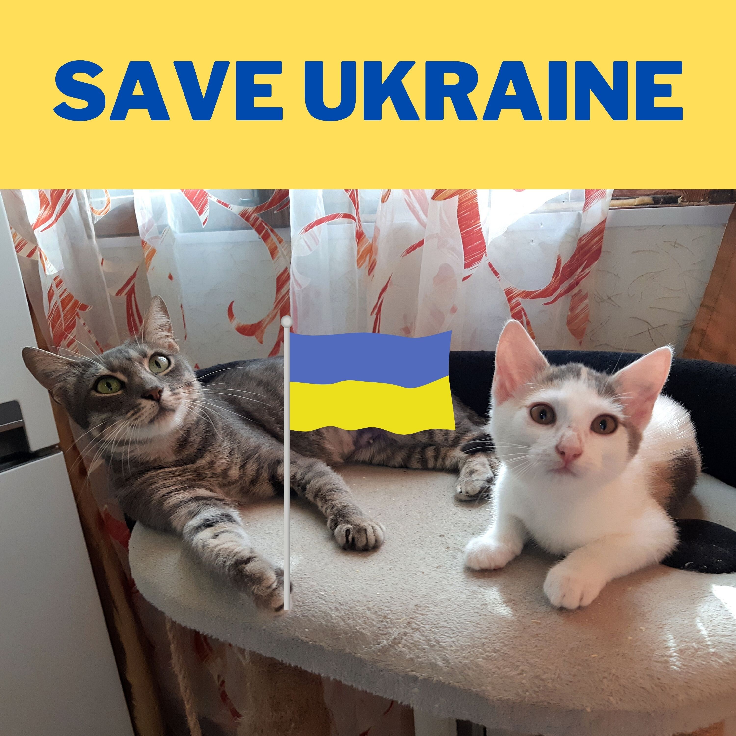 Art & Collectibles Love for Ukraine Ukraine cat Instant download ...