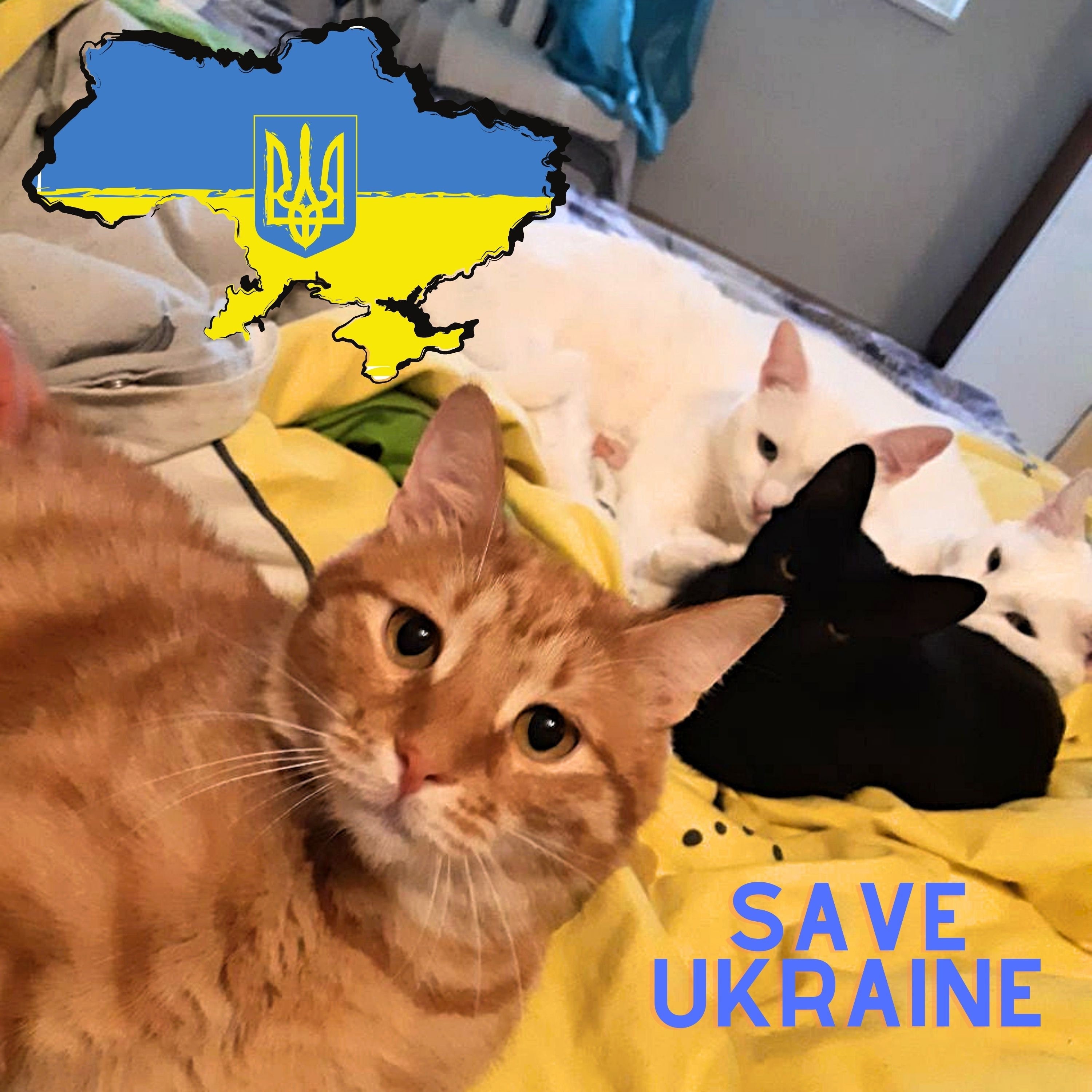 Art & Collectibles Love for Ukraine Ukraine cat Instant download ...