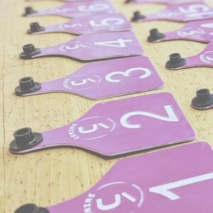 Custom Engraved Cattle Ear Tag | Custom Logo Cattle Ear Tag | Engraved ...