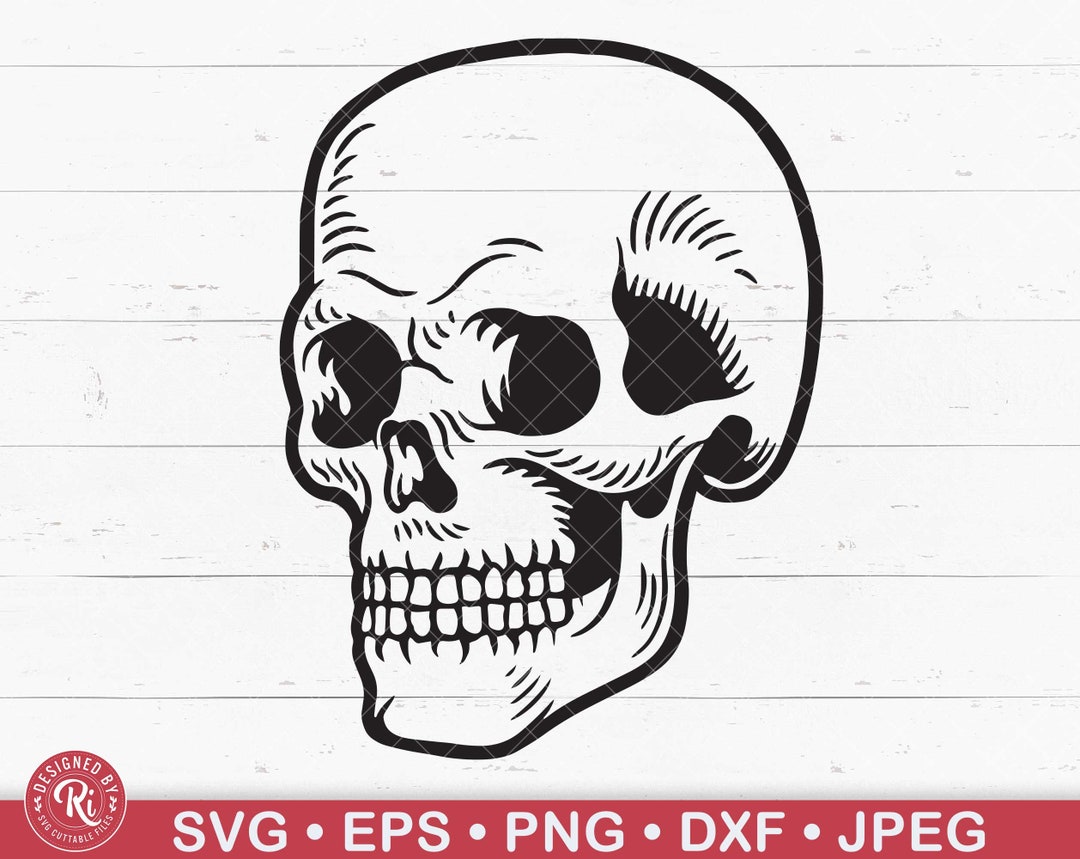 Human Skull Svg, Skull Quarter View, Skull Vector, Skull Cut Files ...