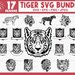 Tiger SVG Bundle, Face, Head, Monogram, Safari, Jungle, Big Cat, Gift ...