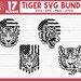 Tiger SVG Bundle, Face, Head, Monogram, Safari, Jungle, Big Cat, Gift ...